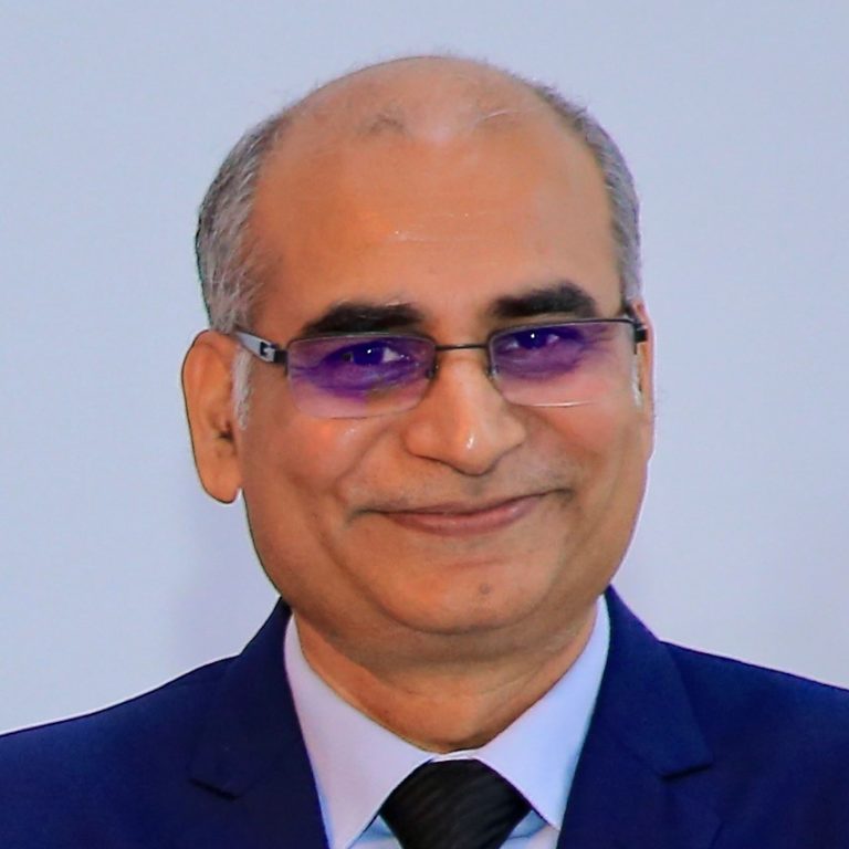 Vivek Saraswat - Business School Lausanne